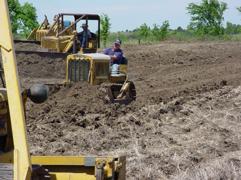 Pics of a Few of my Caterpillar Collection - Yellow Power CC